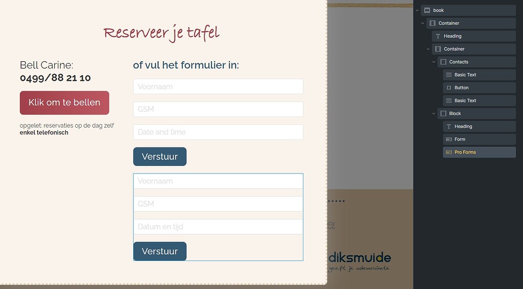 Pro Form is not shown on Popup - Bug Reports - Bricksforge Community Forum