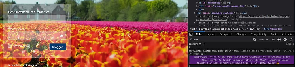 Broken css for custom login - Bug Reports - Bricksforge Community Forum